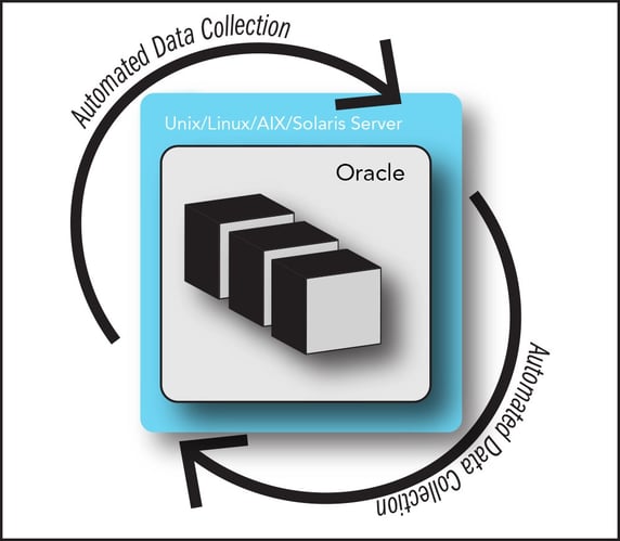 Oracle Database Performance Assessment