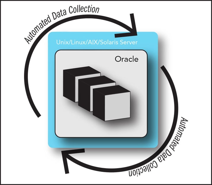 Oracle Database Performance Assessment Oracle Database Performance Assessment